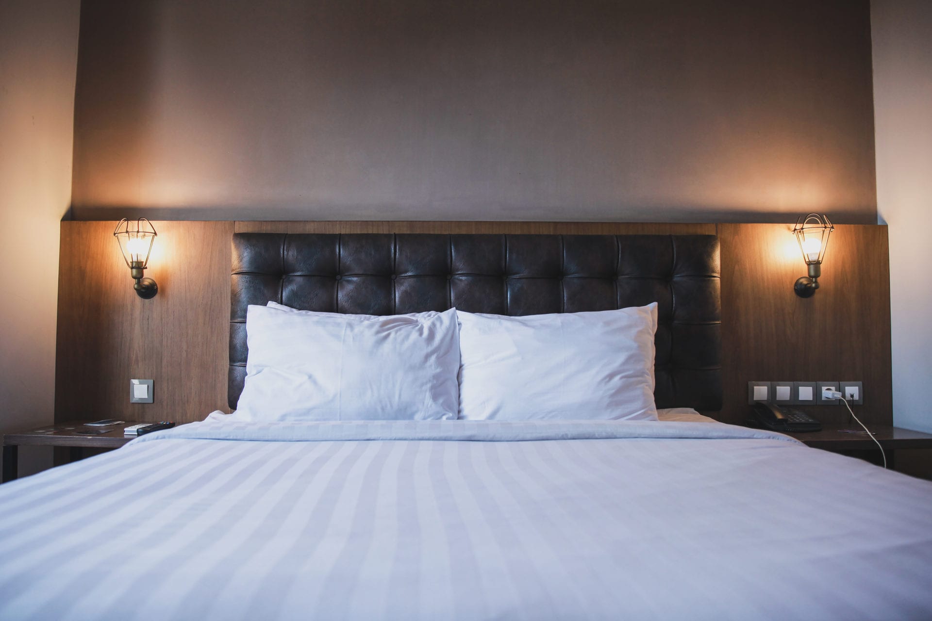 Milbenbisse - Die richtige Behandlung und wie Du sie erkennst ...